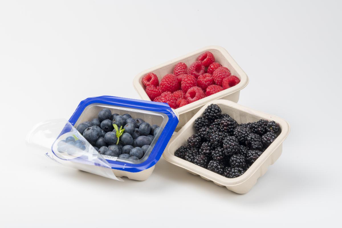 Punnets and Trays - Punchbowl Packaging