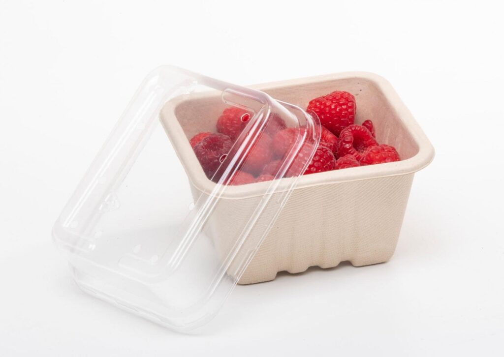250g Raised PET punnet lid (with holes) 138 x 120 x 36mm - Punchbowl ...