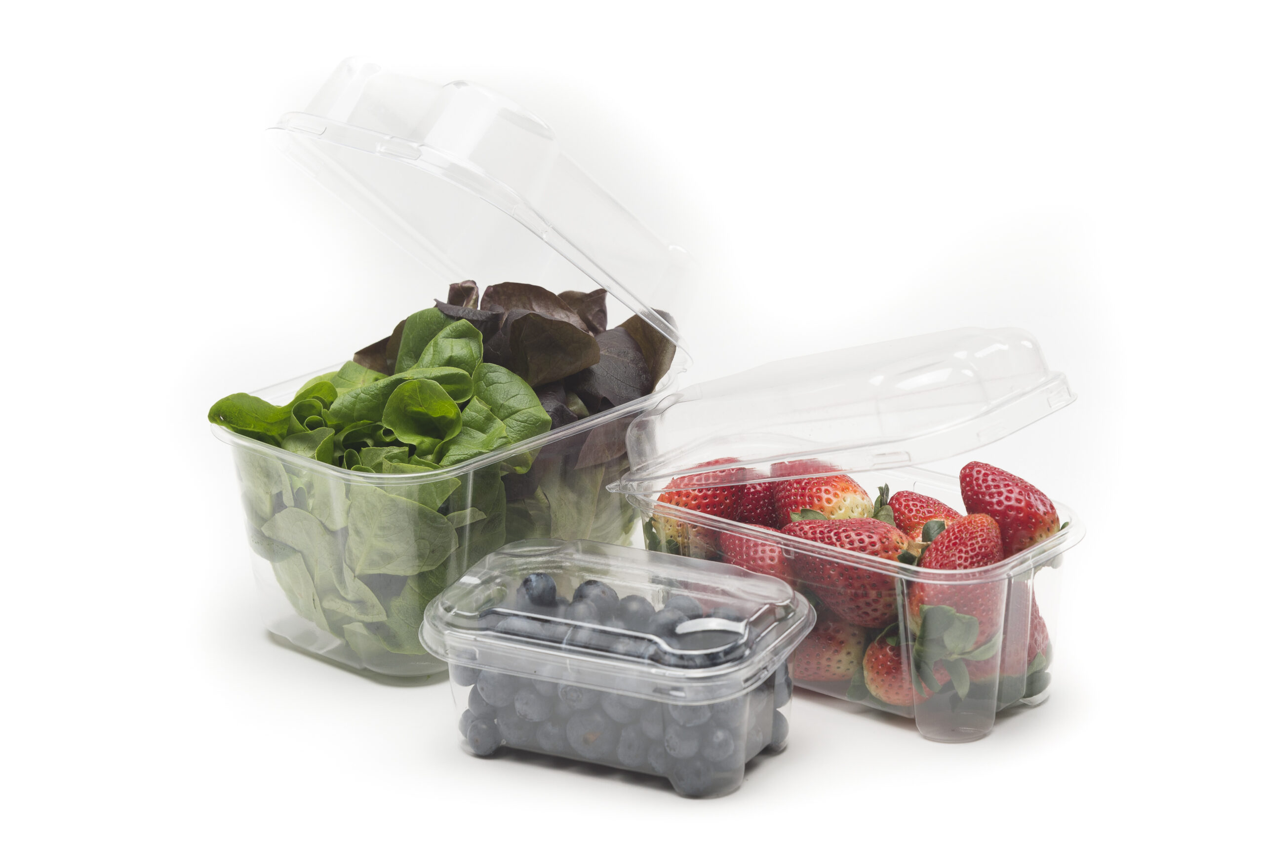 PET Punnets - Punchbowl Packaging